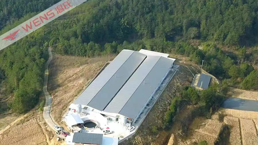 Opinions from Wen’s Group, New Hope Group, and Haid Group on the status ...