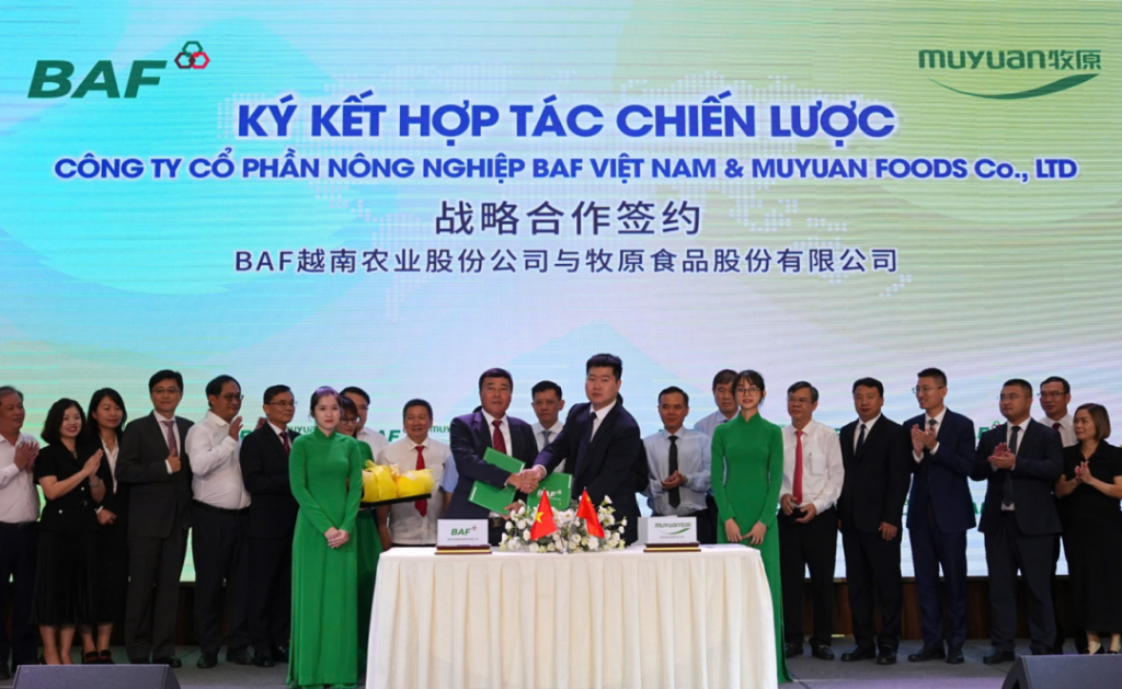 Vietnam’s BAF Partners with Muyuan: Aiming for 10 Million Annual Hog ...