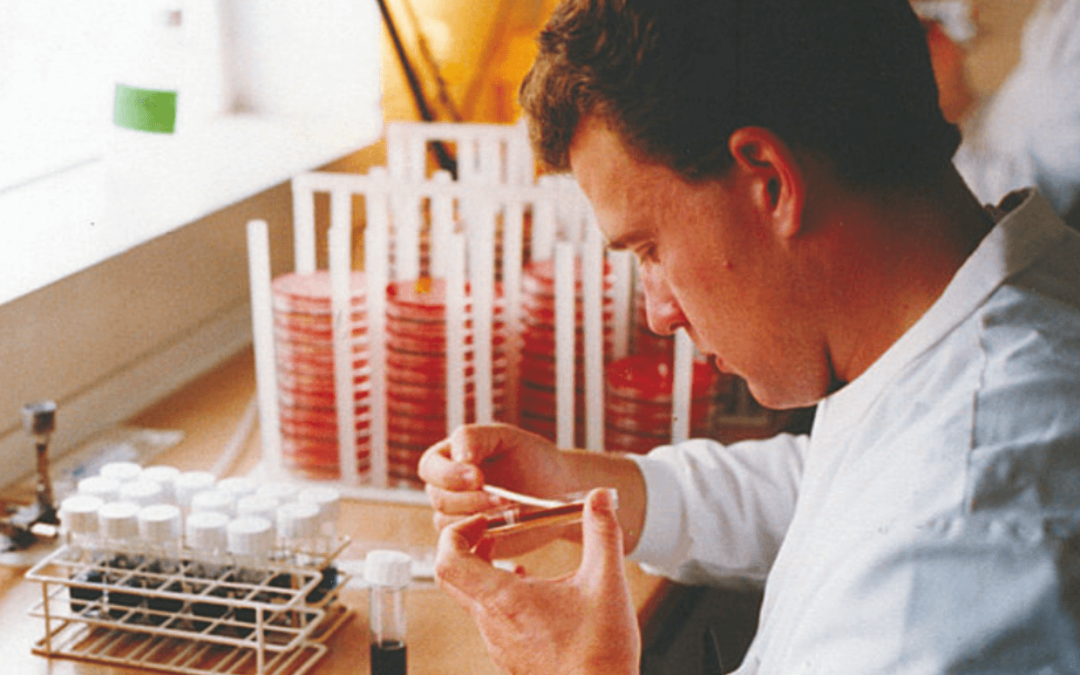 Ecolovo and Cherry Valley Forge Partnership to Revolutionize Specialty ...