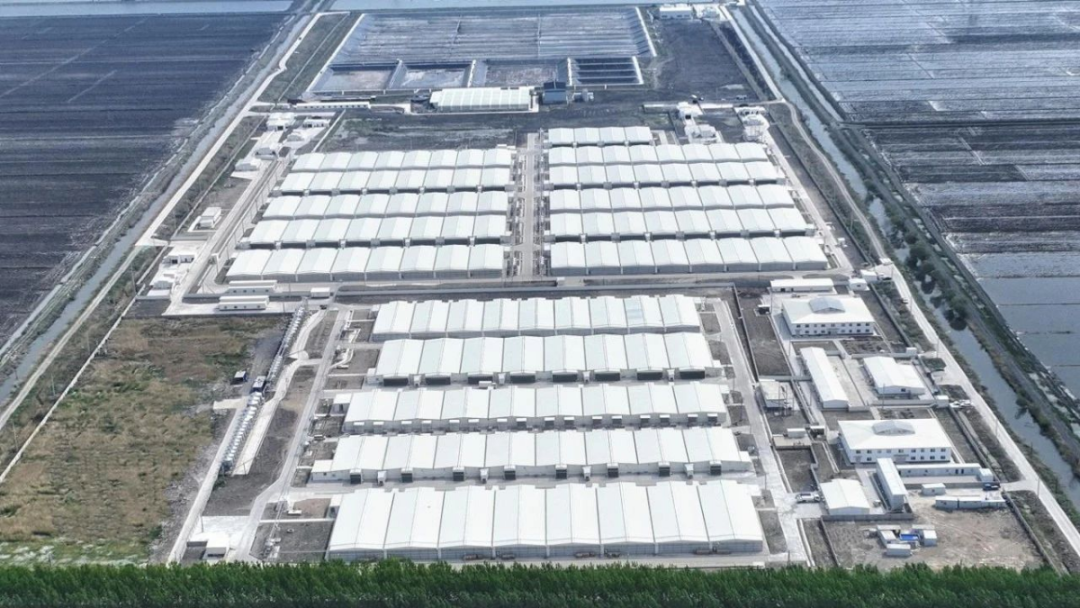 The Third Pig Farming Project by China state-owned Rongtong and agri ...