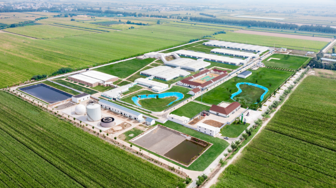 Cargill's New Global Innovation Center Sets a Bold Course for China's ...