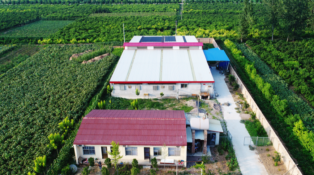 Changrong AgriTtech: Reshaping Pig Farming logic in China