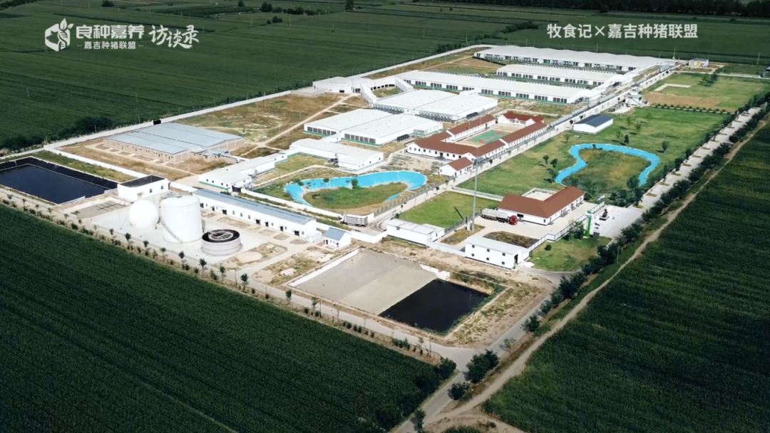 Changrong AgriTtech: Reshaping Pig Farming logic in China