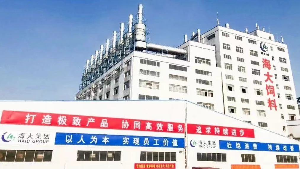 Haid Group Targets Global Leadership with 26% Surge in Feed Exports in ...