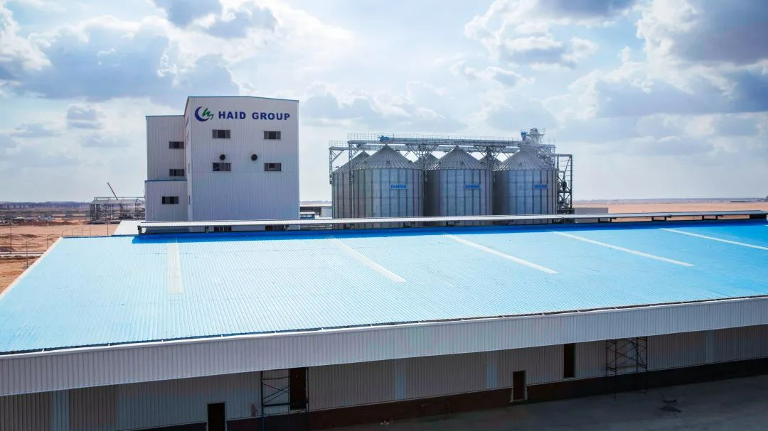 Haid Group Targets Global Leadership with 26% Surge in Feed Exports in ...