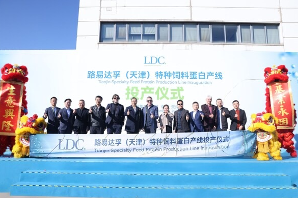 集体亮相第八届进博会，ABCD四大粮商展示了哪些农牧相关解决方案？