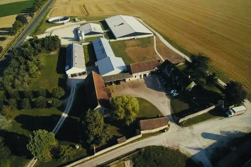 France’s top pig breeding group pitches a new cooperation model in ...