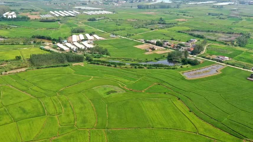 Wens puts USD 113.5 million into R&D